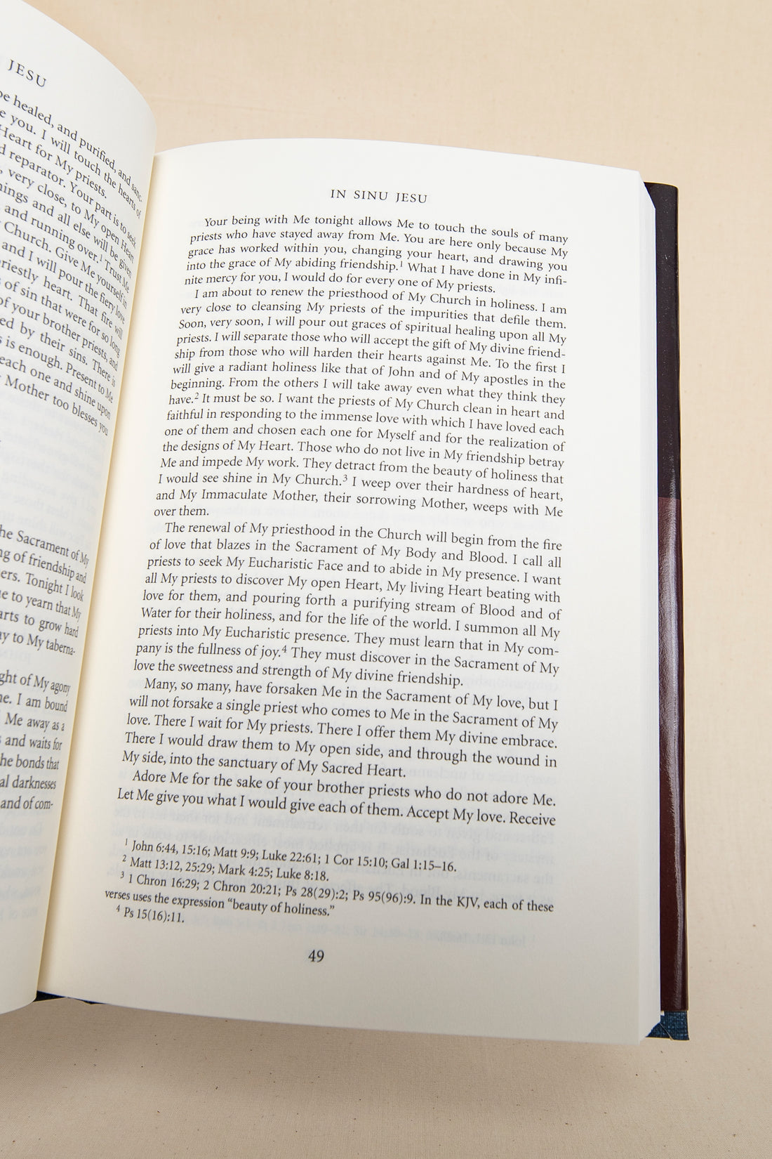 In Sinu Jesu: When Heart Speaks to Heart-The Journal of a Priest at ...