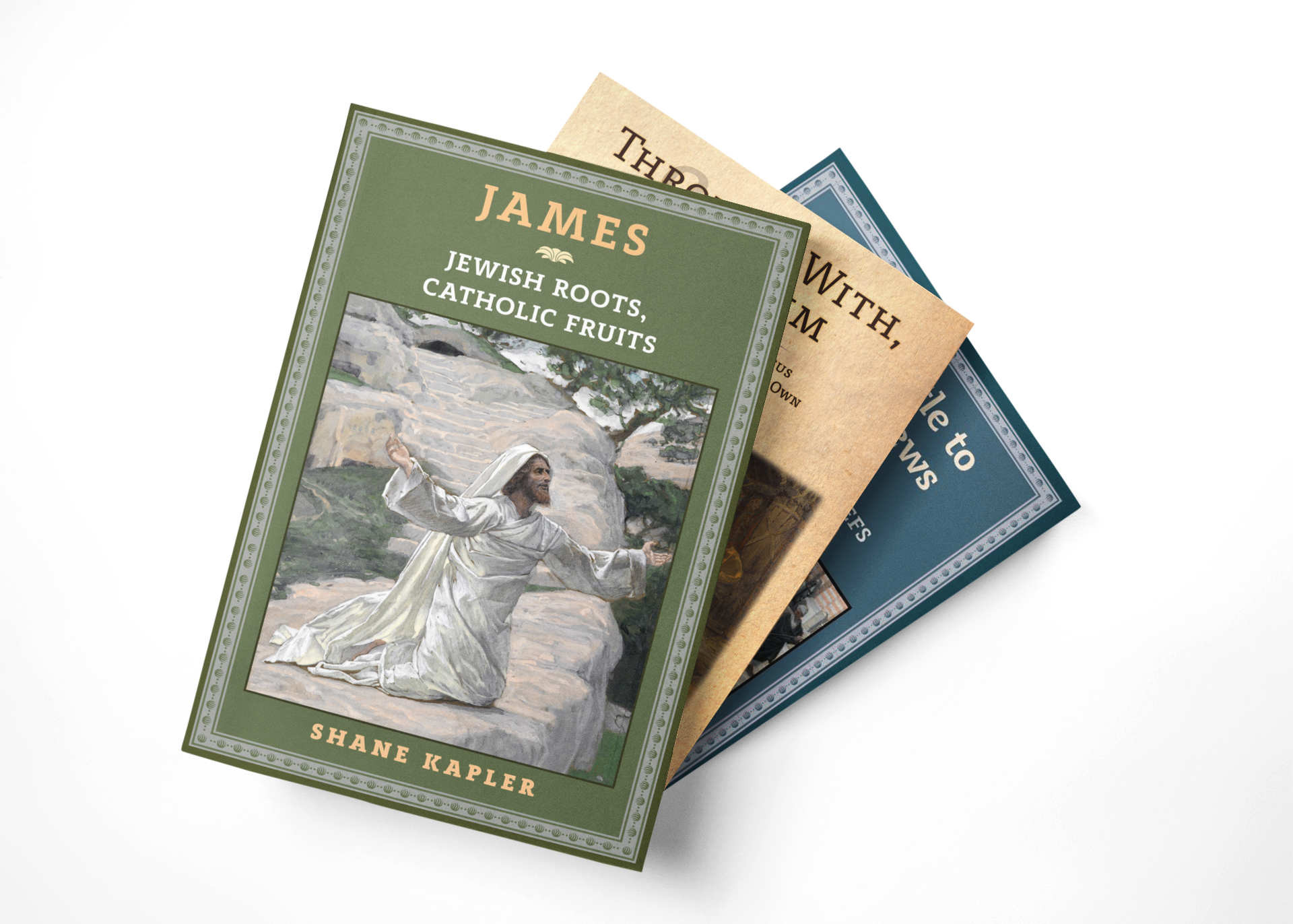 Shane Kapler Hardcover Bundle – Angelico Press